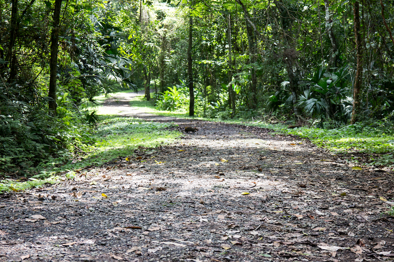 Explorer Panama City 🇵🇦 18 Activités Incontournables